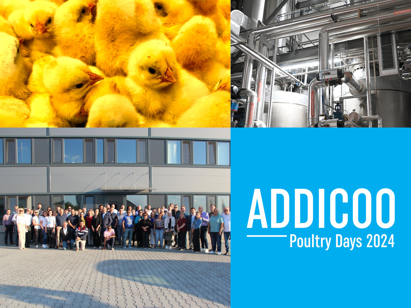 Aktuality | Addicoo – Additives & Cooperation